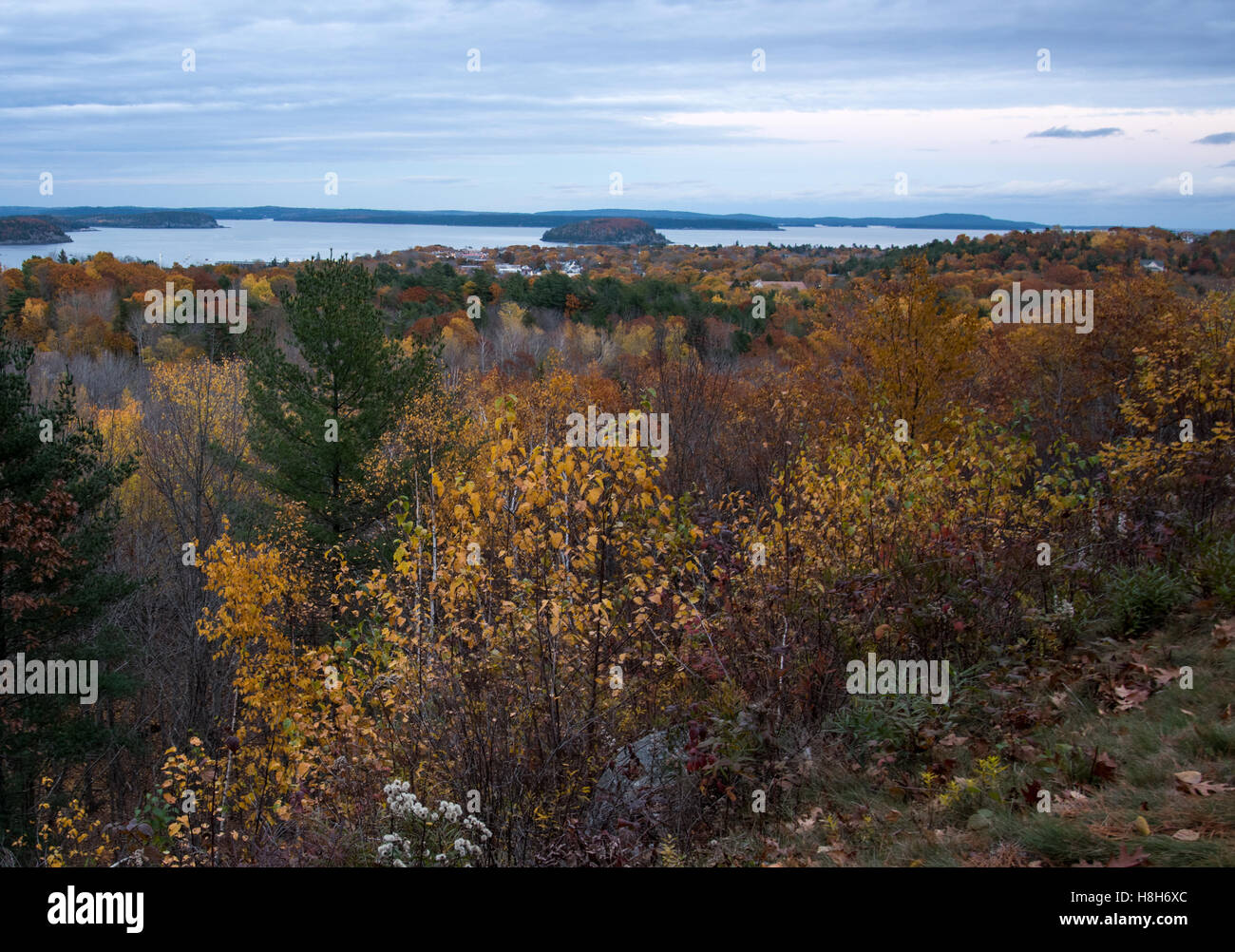 end of fall Stock Photo - Alamy