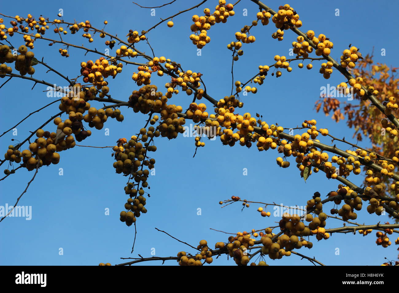 Lost colors hi-res stock photography and images - Alamy