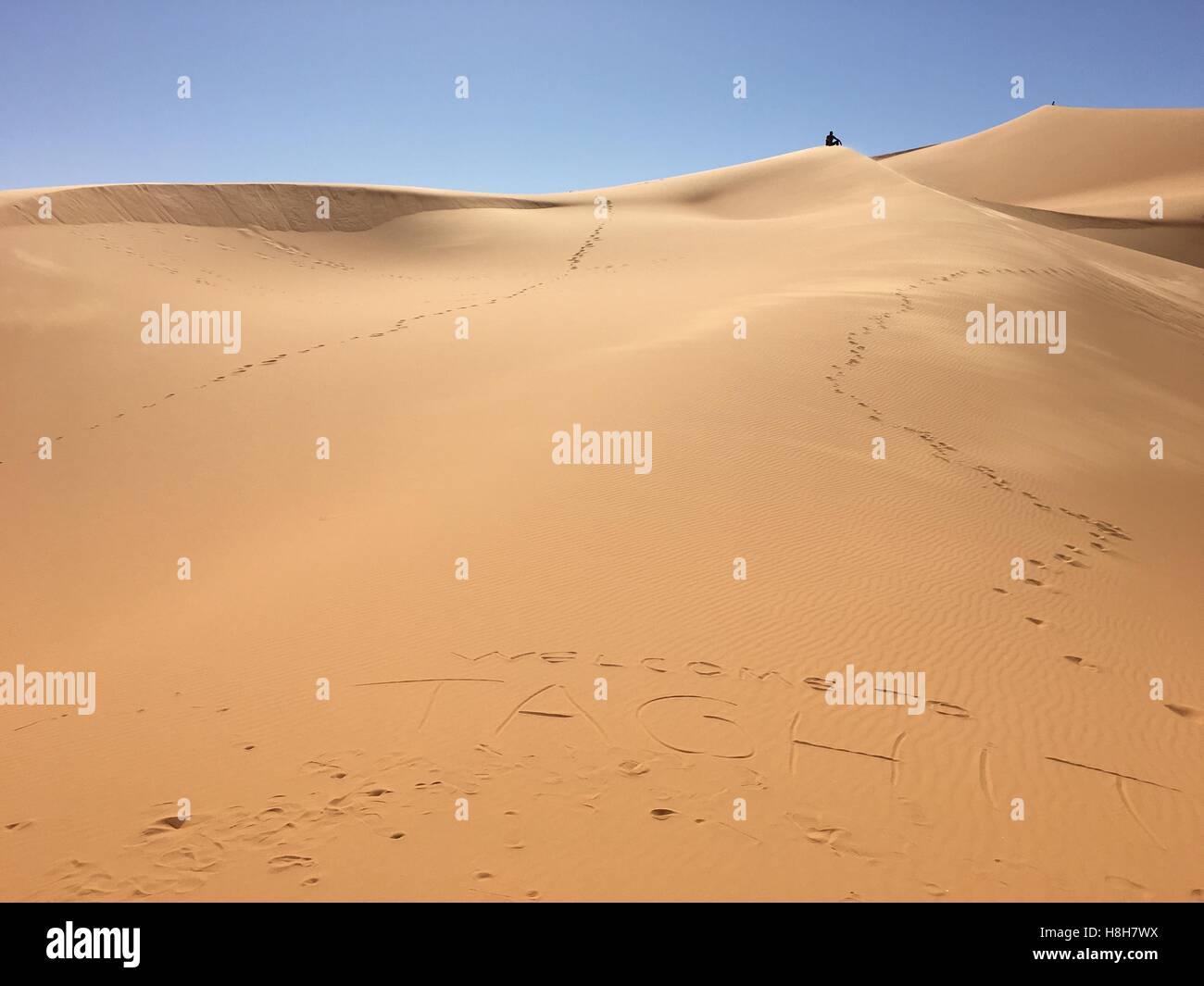 Unlimited empty desert panorama of North Africa Bechar Algeria, sandy ...