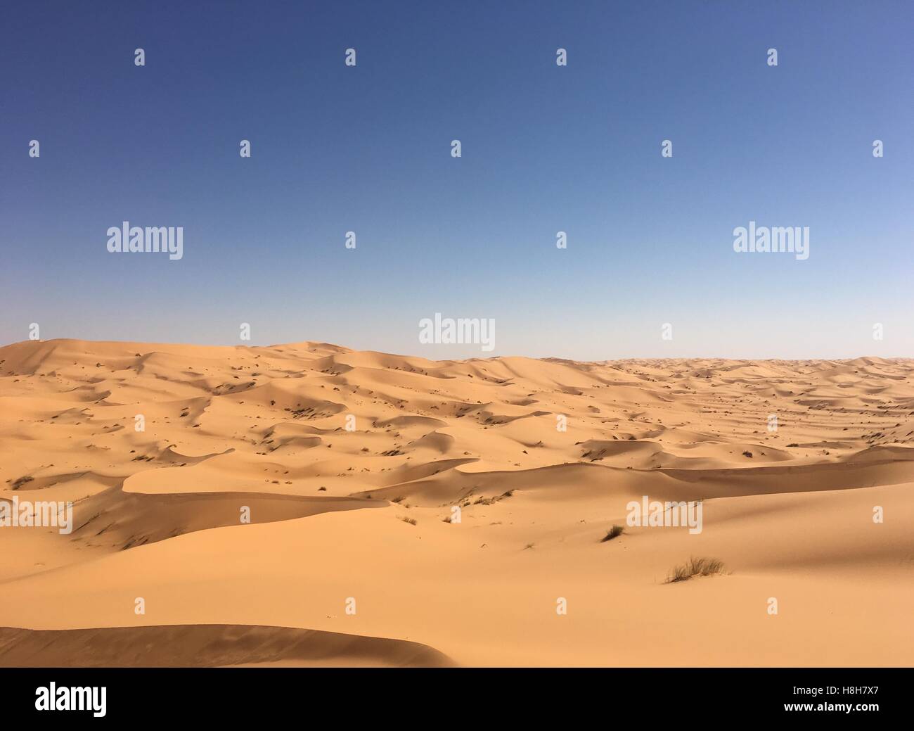 Unlimited empty desert panorama of North Africa Bechar Algeria, sandy ...