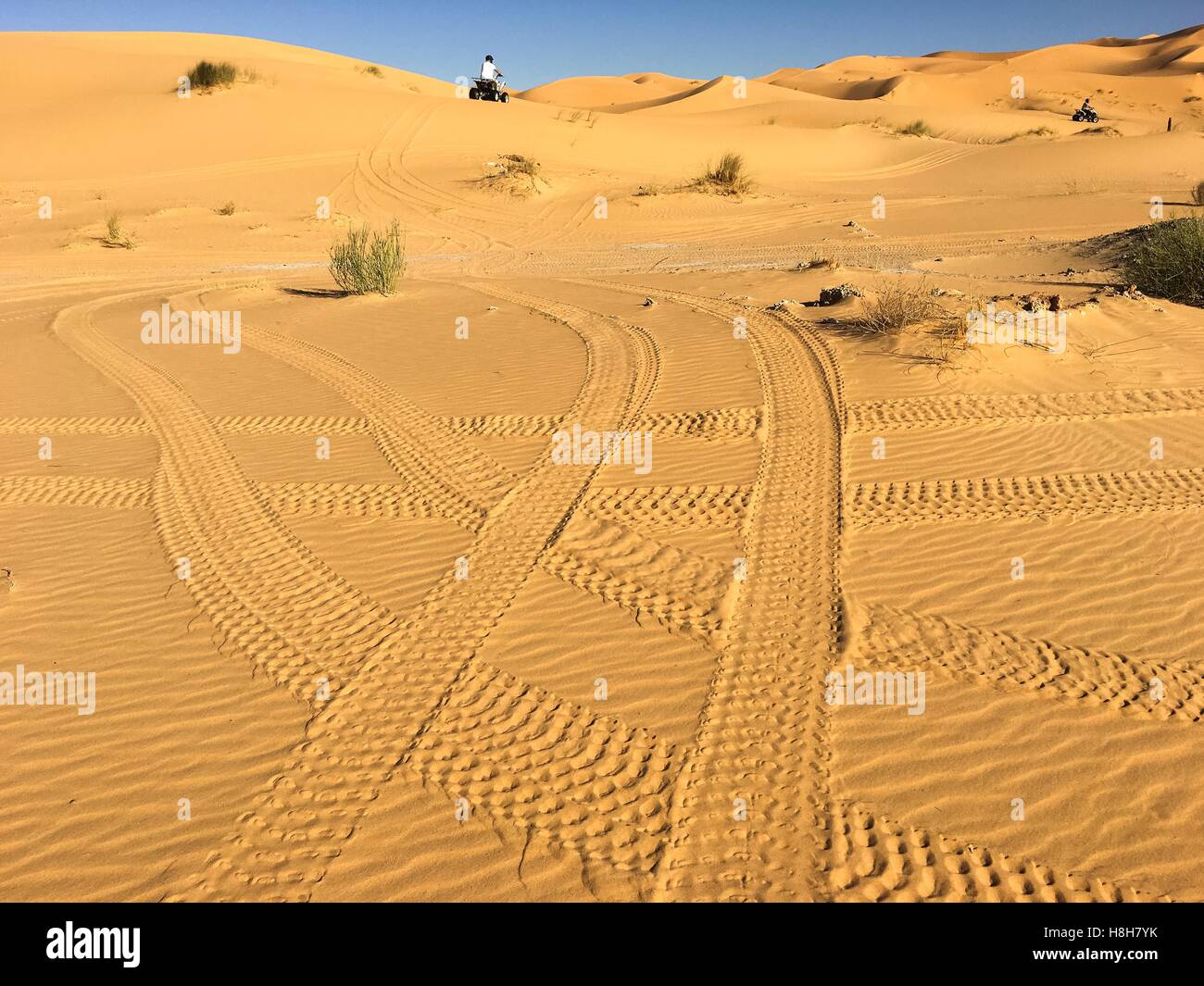 Tracks on desert Bechar Algeria Stock Photo - Alamy