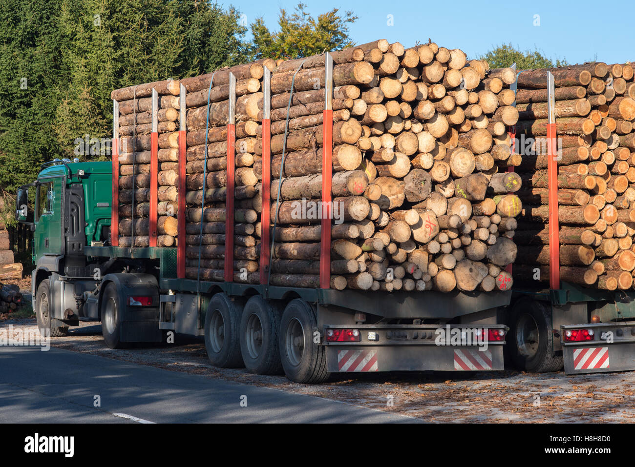 Trucks loaded with tree trunks along the roadside in front of a blue ...