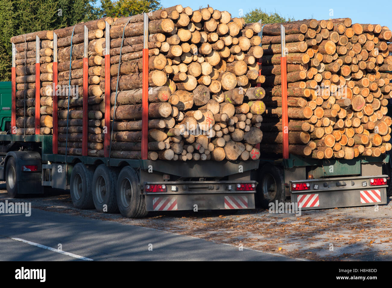 Trucks loaded with tree trunks along the roadside in front of a blue ...