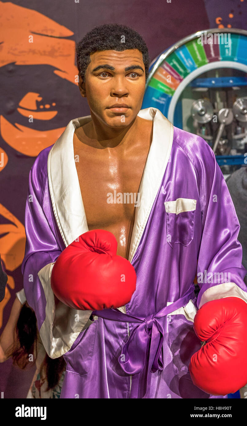 London, the UK-May 2016: Muhammad Ali wax figure in Madame Tussaud's ...