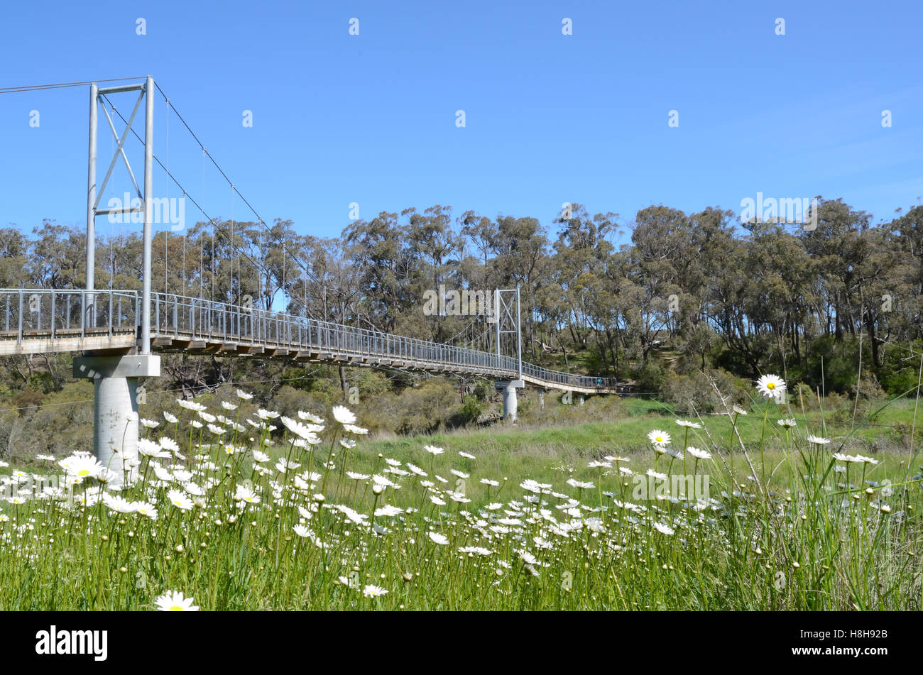 Oxley wild rivers national park hi-res stock photography and images - Alamy