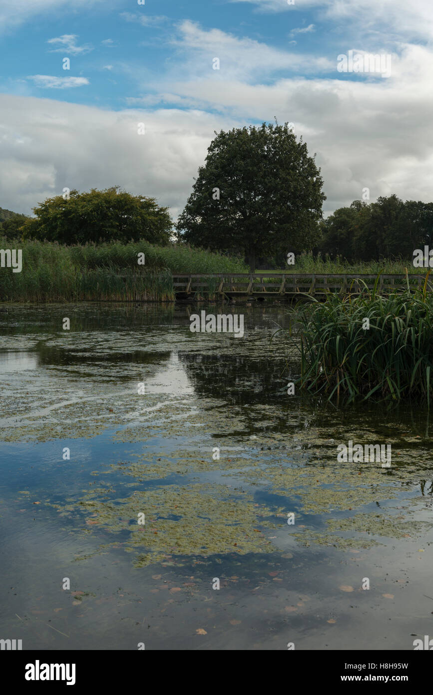 South inch park hi-res stock photography and images - Alamy