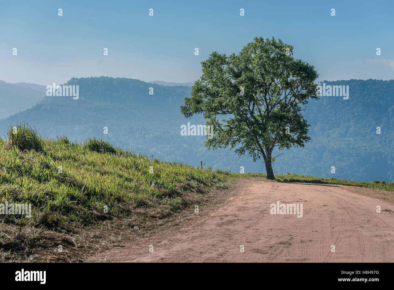 Lone Tree Passage Stock Photo - Alamy