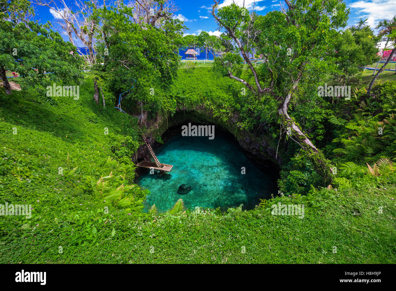 To Sua ocean trench - famous swimming hole, Upolu, Samoa, South Pacific ...