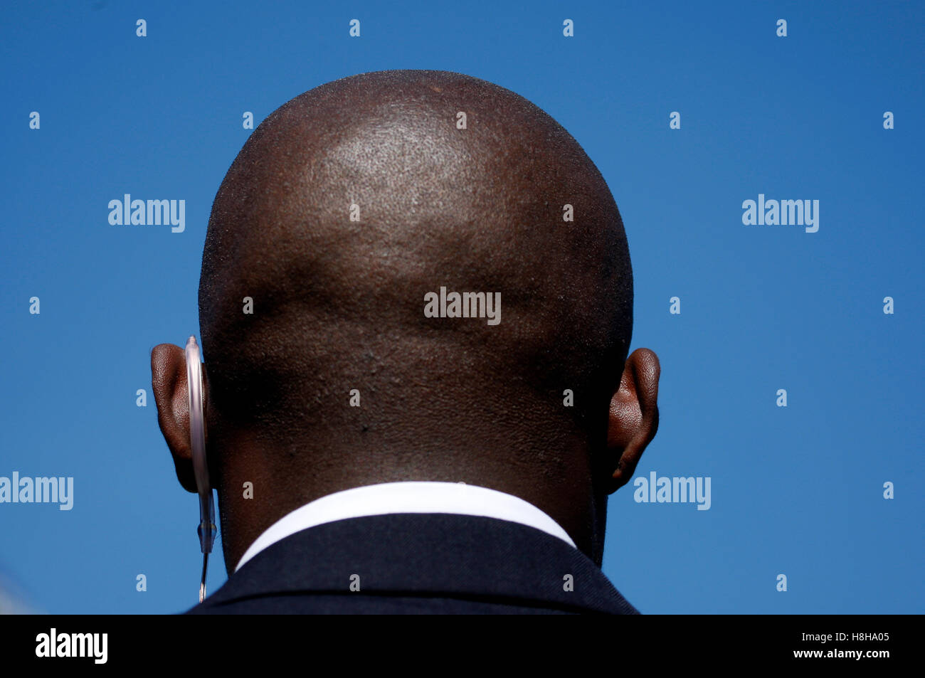 Bald head from behind, security man Stock Photo - Alamy