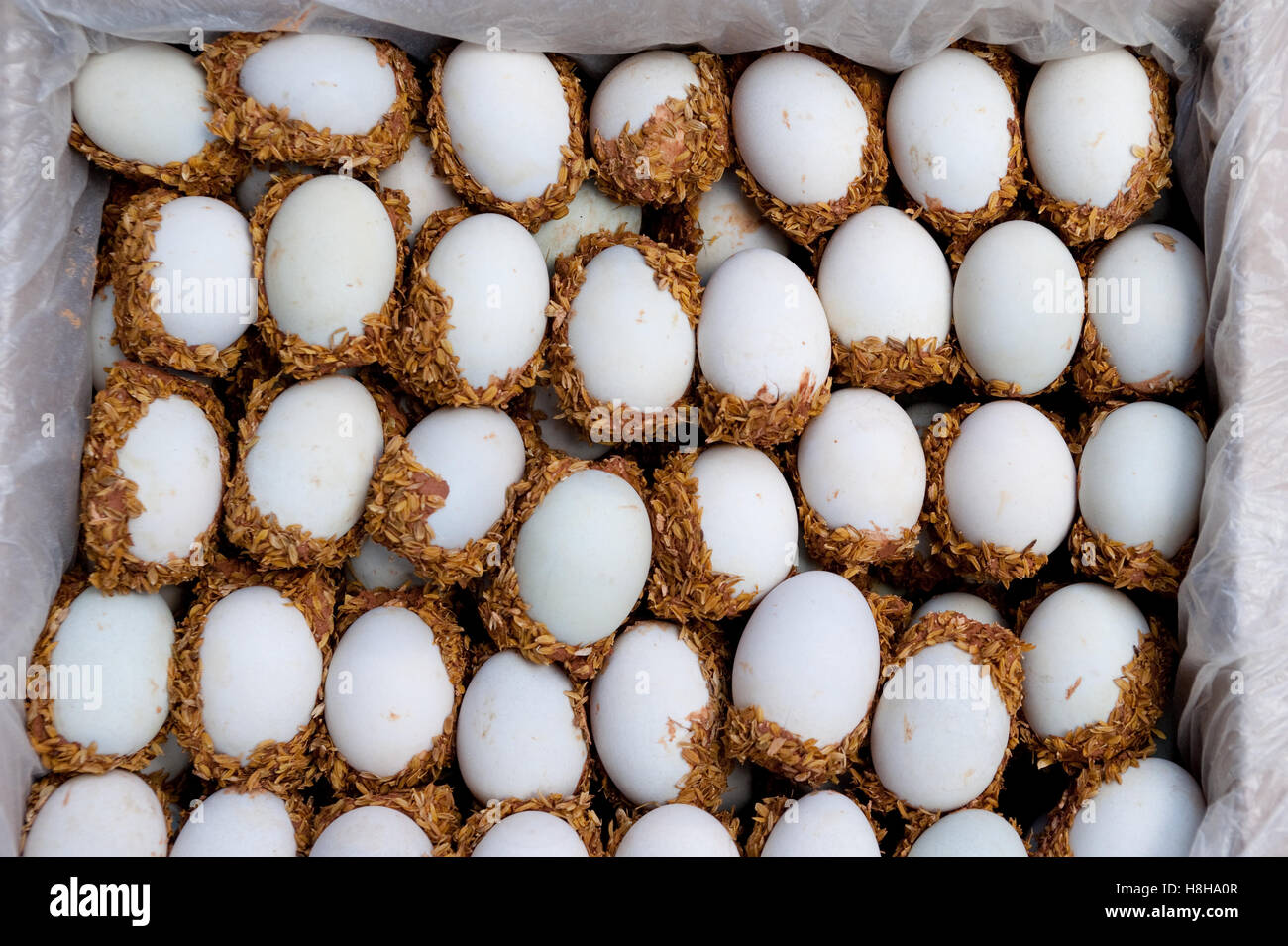 White chicken eggs, China, Asia Stock Photo - Alamy