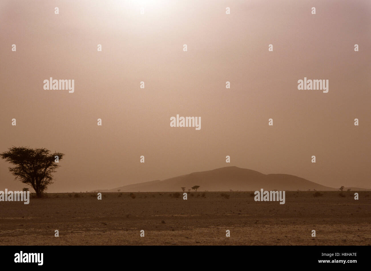 Dust and sandstorms hi-res stock photography and images - Alamy