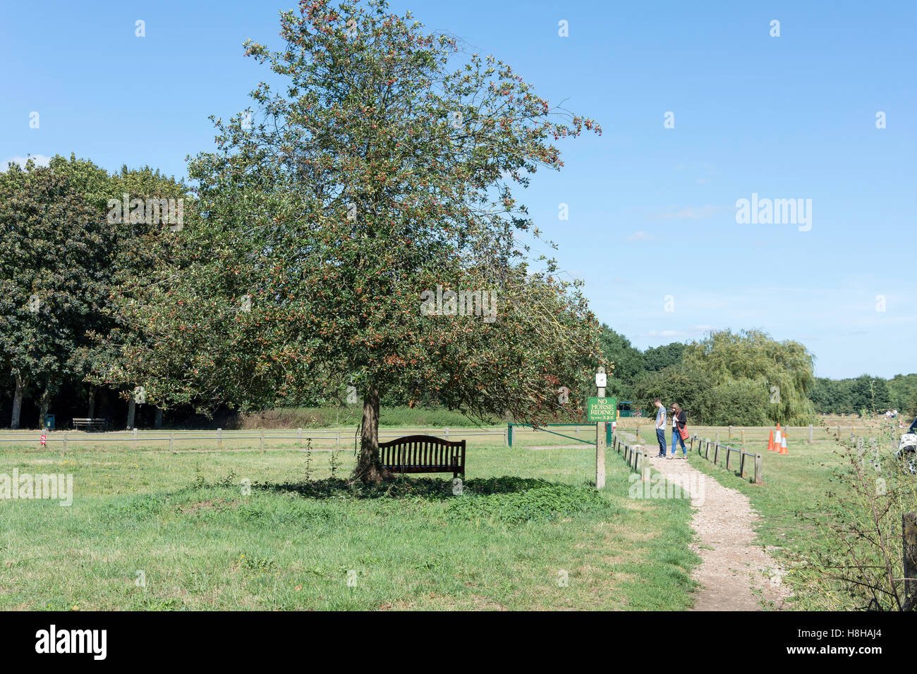 Ripley village hi-res stock photography and images - Alamy