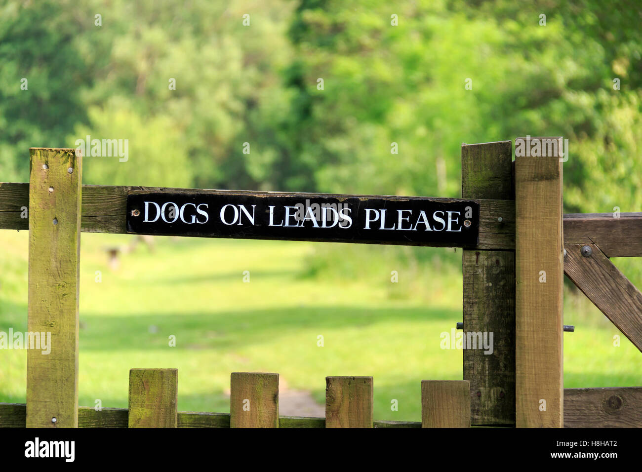 Keep dogs on lead sign fixed to wooden fence rail Stock Photo - Alamy