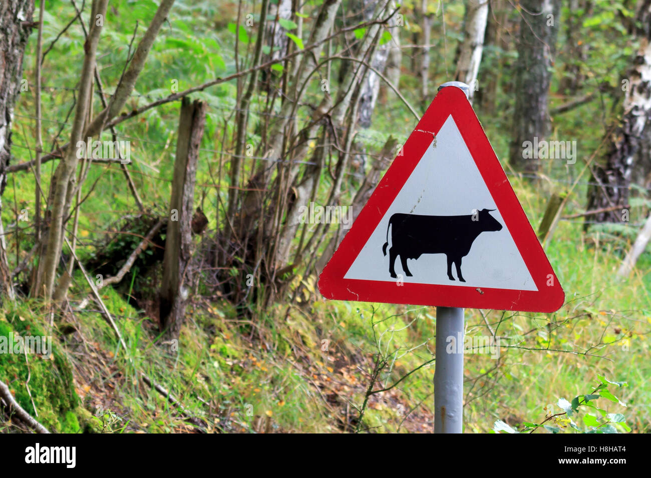 Triangular road sign hi-res stock photography and images - Alamy