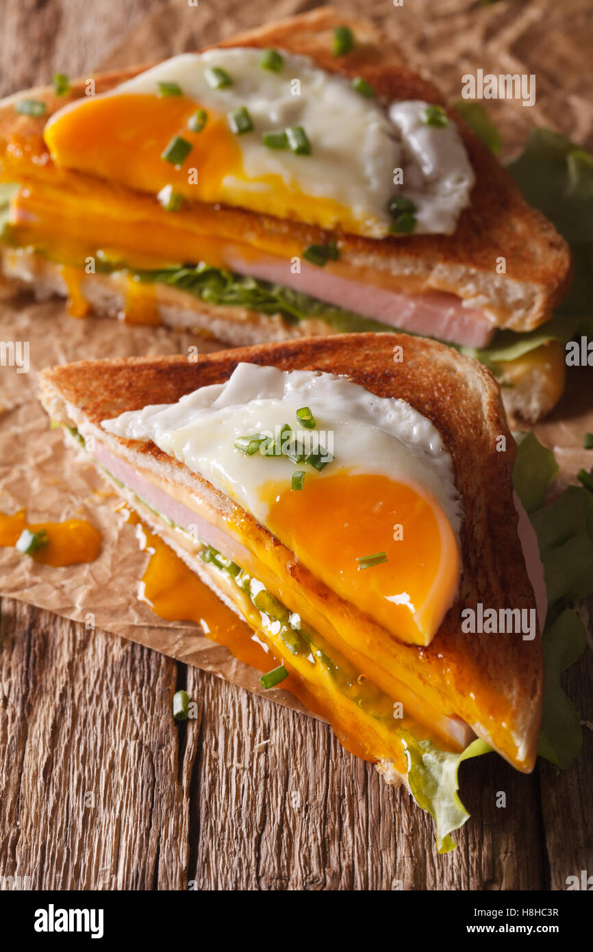 Cut sandwich Croque Madame closeup of paper on the table. Vertical ...