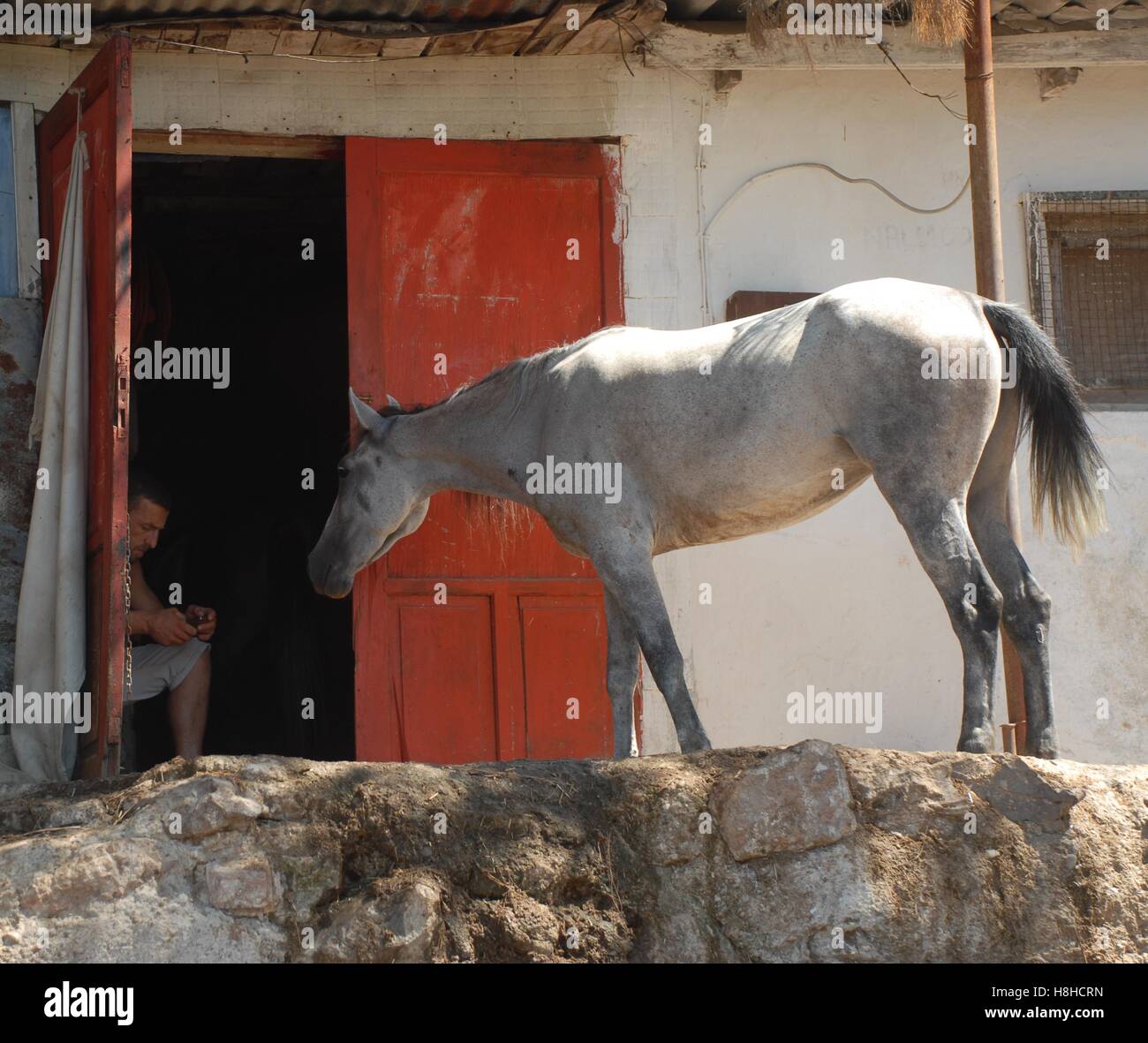 Stableman hi-res stock photography and images - Alamy