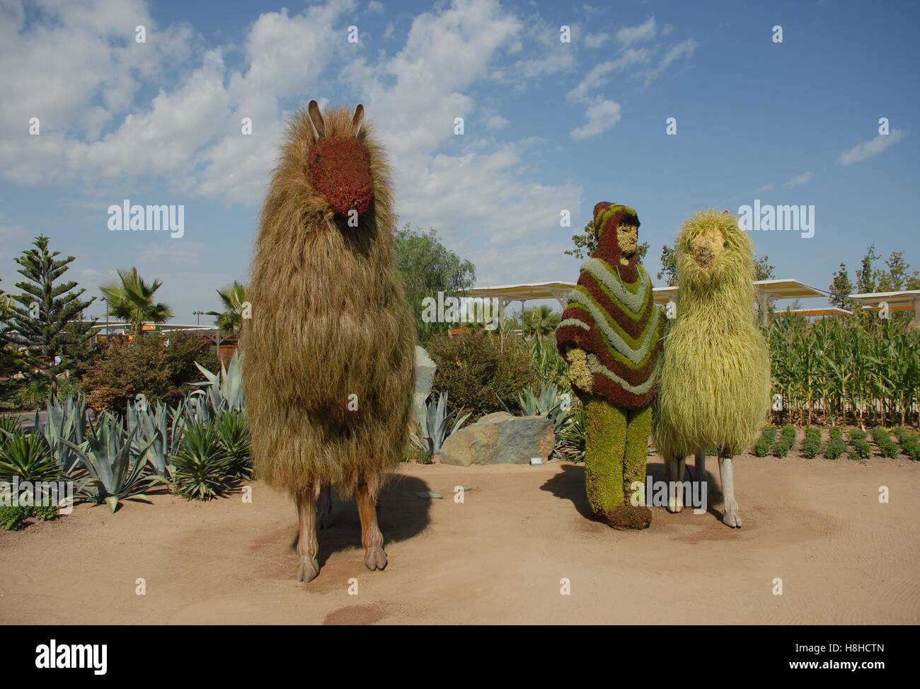 Latin landscape hi-res stock photography and images - Alamy