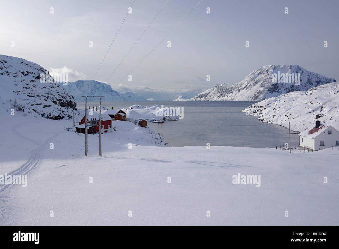 Winter landscape in Northern Norway. Finnmark, Seiland Stock Photo - Alamy