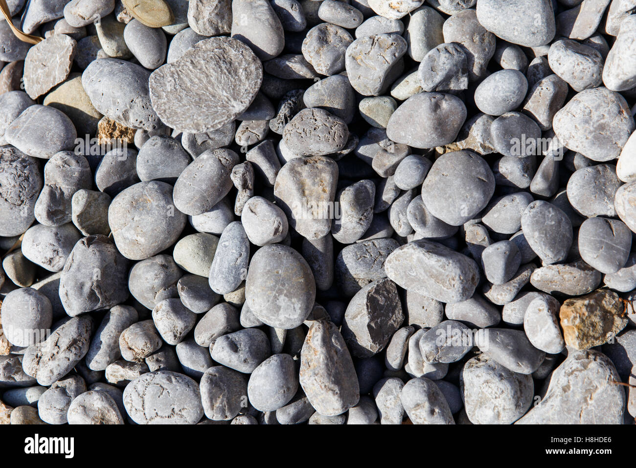 Marine pebbles on beach in summer day Stock Photo - Alamy
