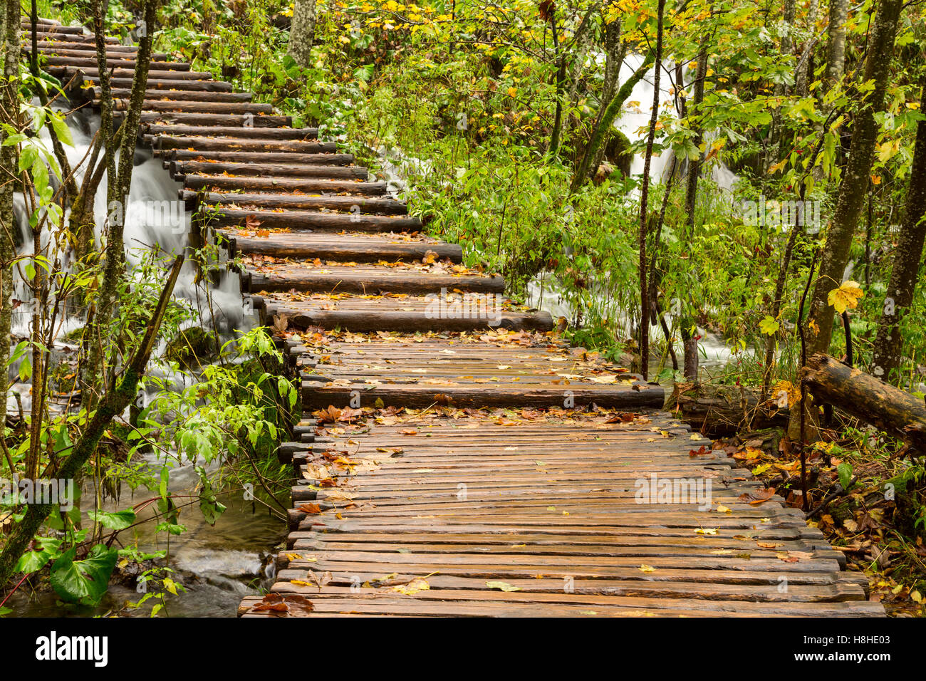 Rainy day and wooden tourist path in Plitvice lakes national park ...