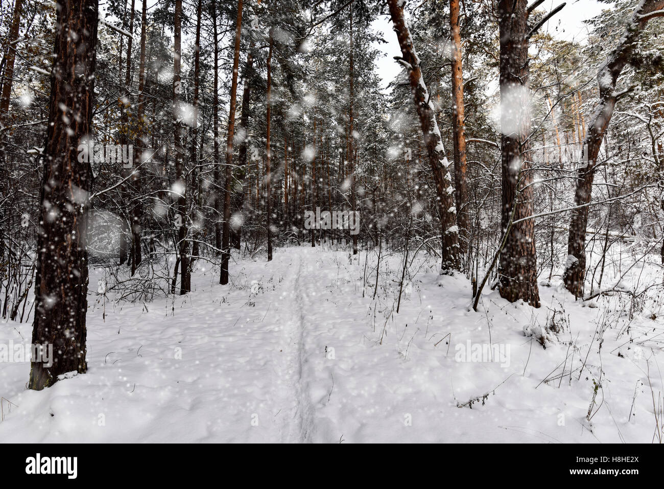 Cold wallpaper hi-res stock photography and images - Alamy