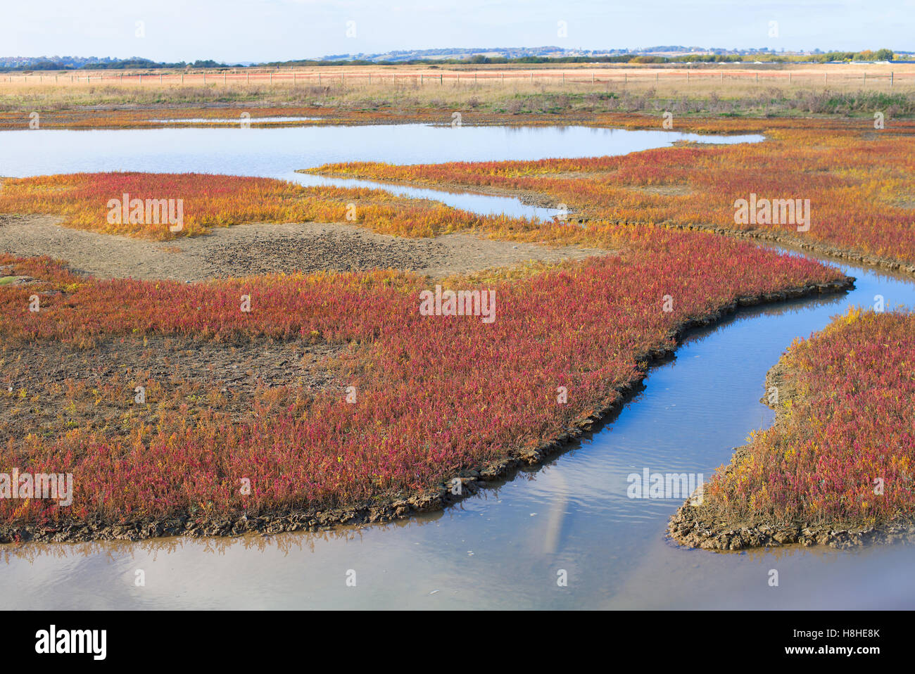 Tidal marshes in Rye East Sussex Stock Photo - Alamy