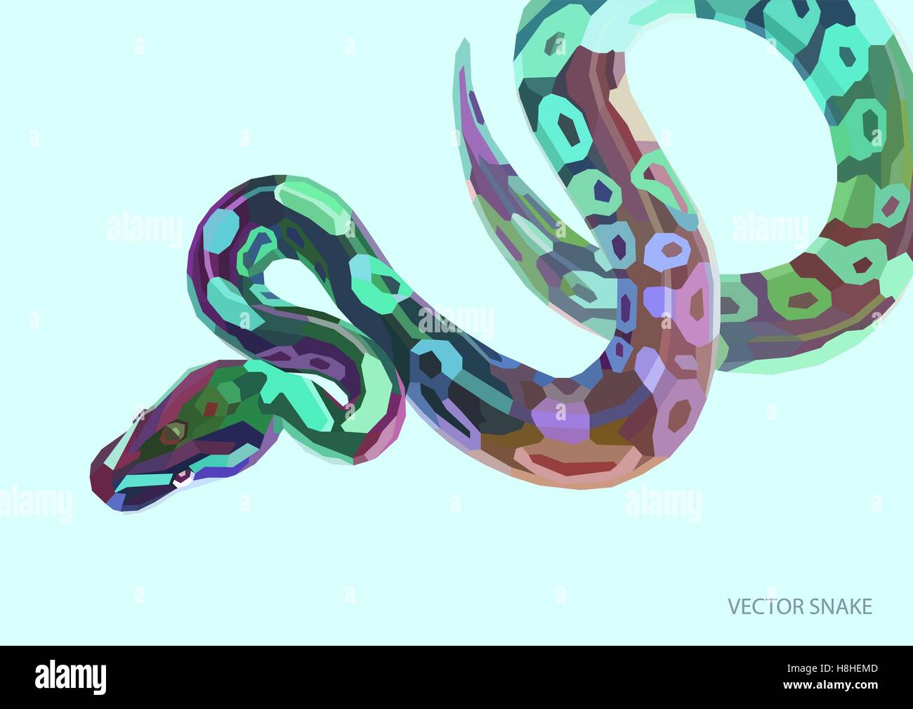 White And Yellow Anaconda Snake High Resolution Stock Photography and ...