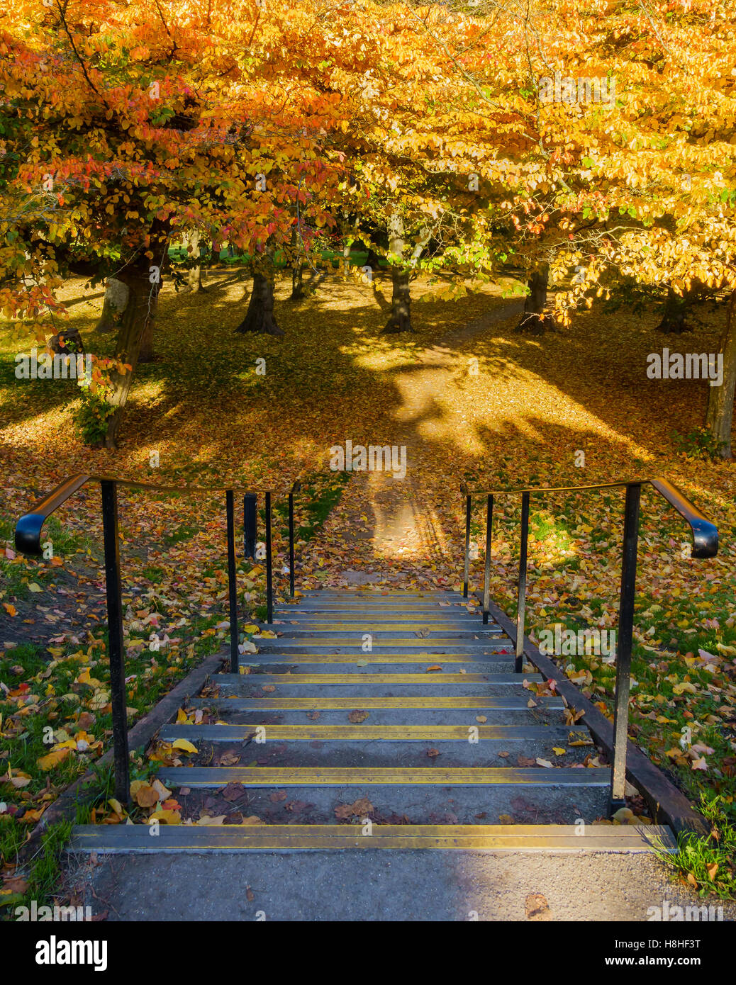 Steps leading into a colorful Autumn Park Stock Photo - Alamy
