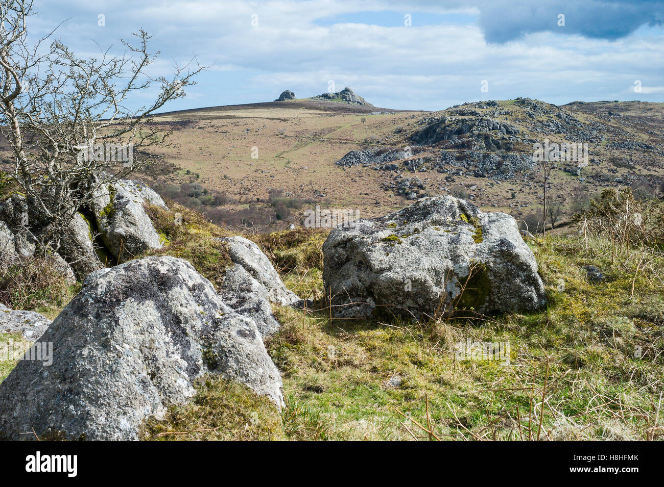 England towards the moors of dartmoor national park hi-res stock ...