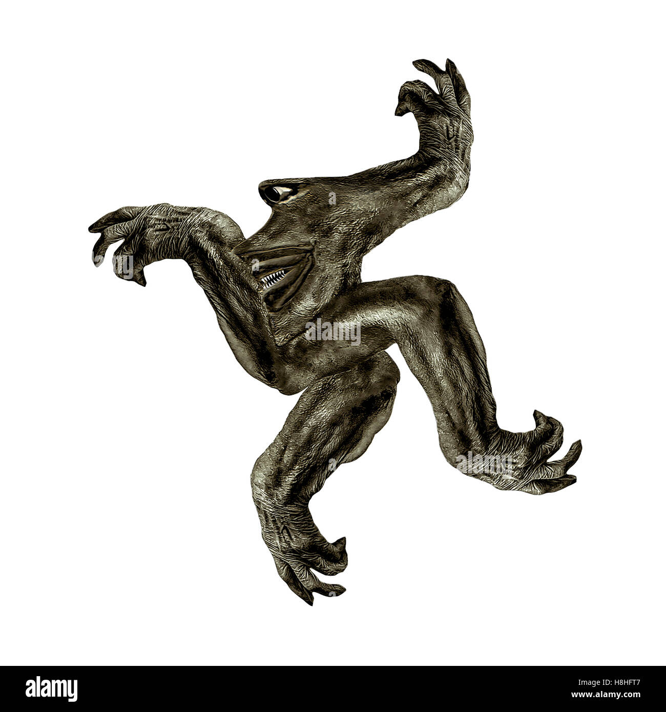 Anatomy Fantasy Art Digital