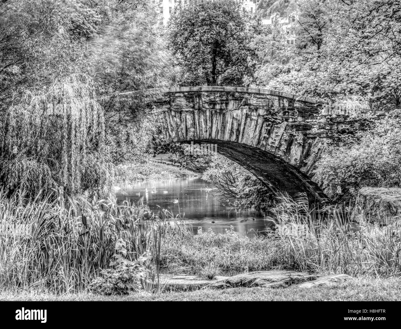 Gapstow Bridge is one of the icons of Central Park, Manhattan in New ...