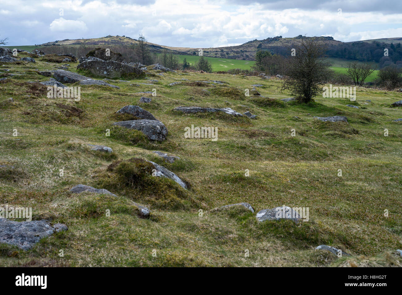 Landscape near Hound Tor a granite rock outcrop in Dartmoor National ...