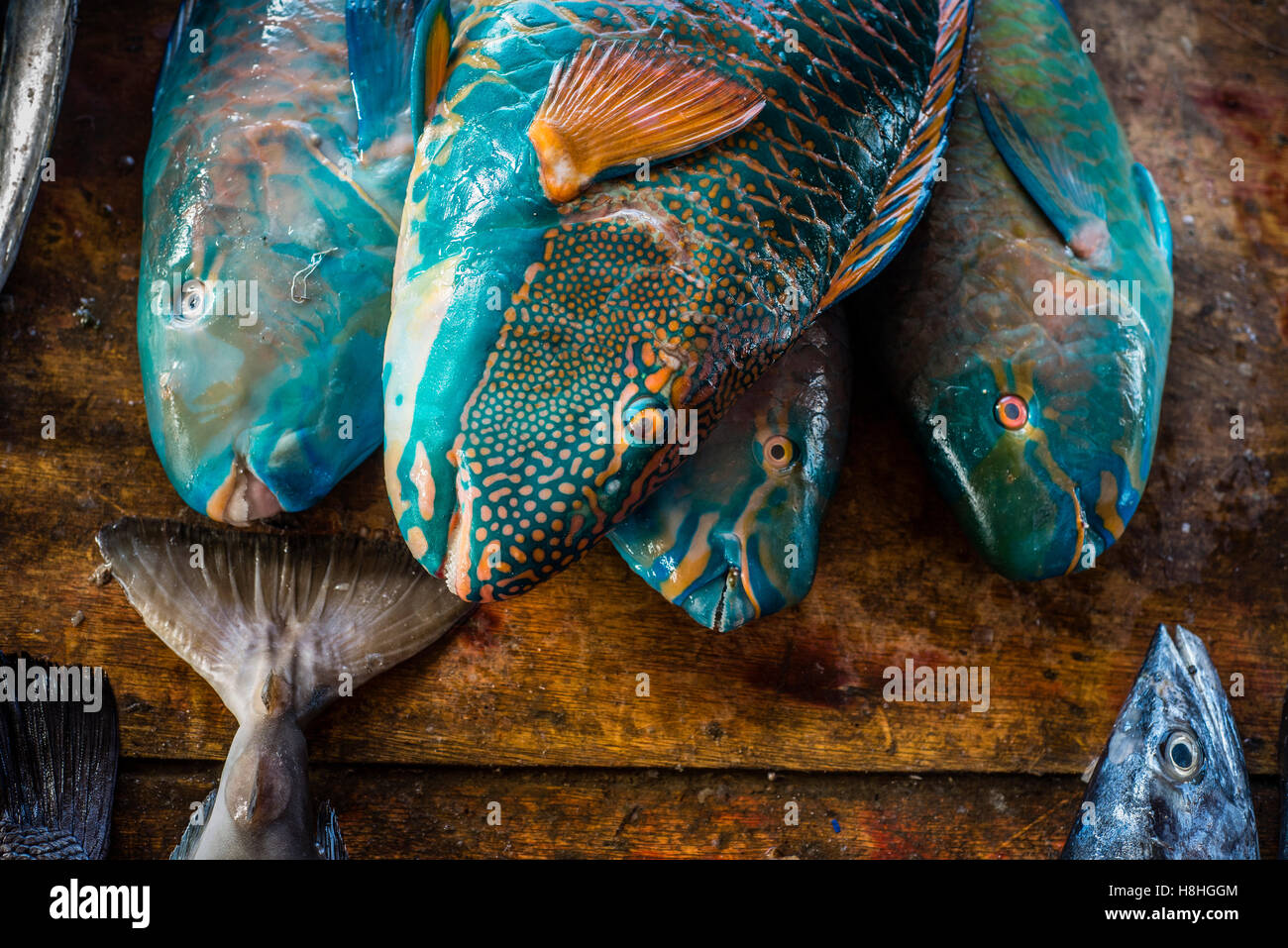 Fish selling at the fish market in Dar Es Salaam, Tanzania Stock Photo ...