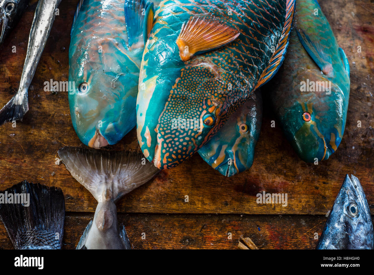 Fish selling at the fish market in Dar Es Salaam, Tanzania Stock Photo ...