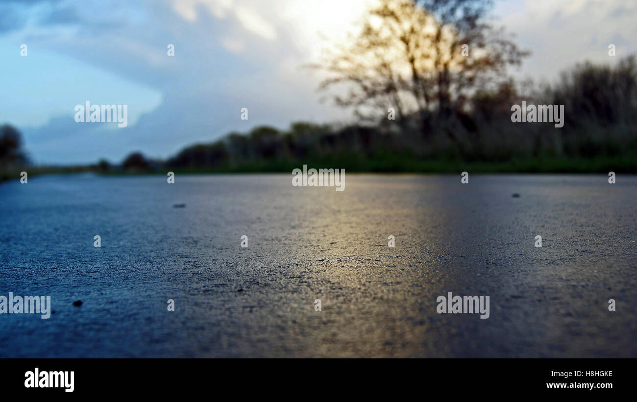 A picture focusing on man made objects being used to better the beauty ...