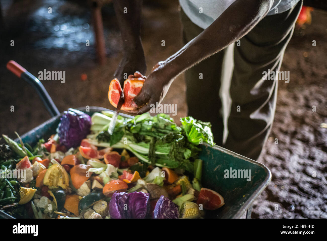 African game park worker hi-res stock photography and images - Alamy