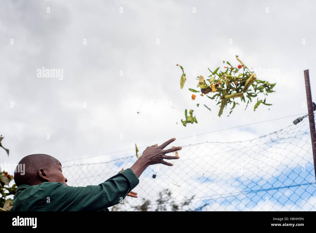 African game park worker hi-res stock photography and images - Alamy