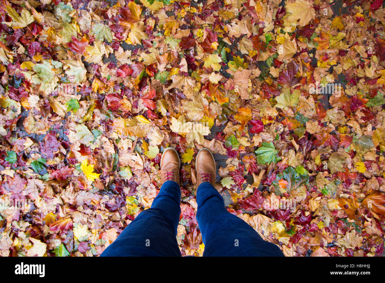 Legs feet in autumn leaves hi-res stock photography and images - Alamy