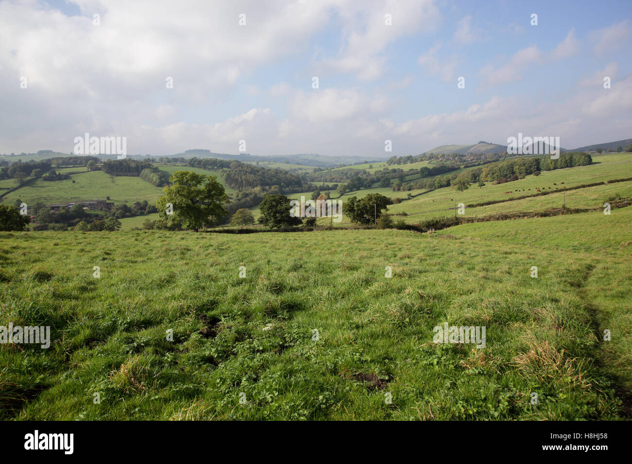 View from near Mapleton towards Thorpe cloud and Dovedale Stock Photo ...