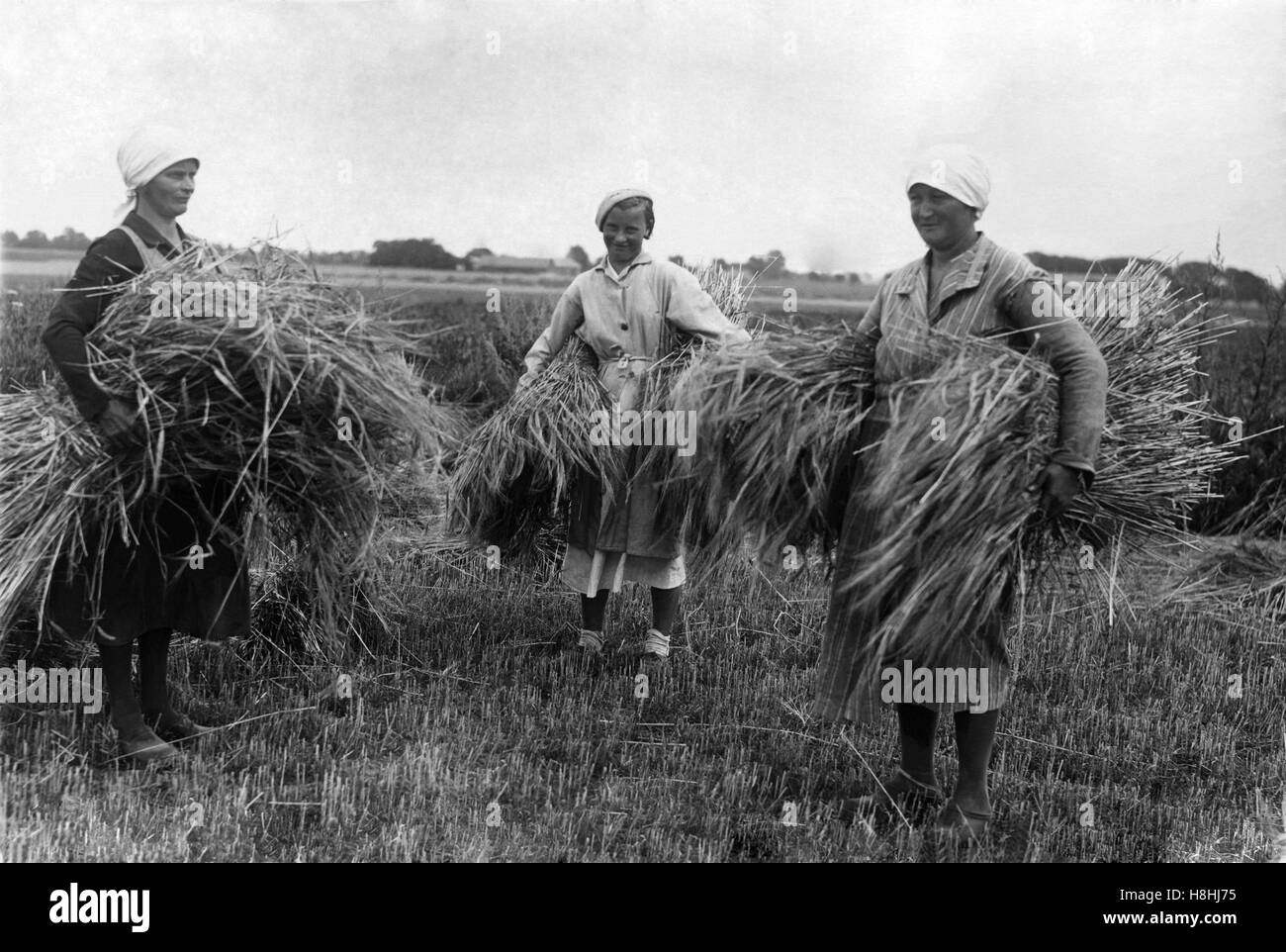 Harvesting 1930s hi-res stock photography and images - Alamy