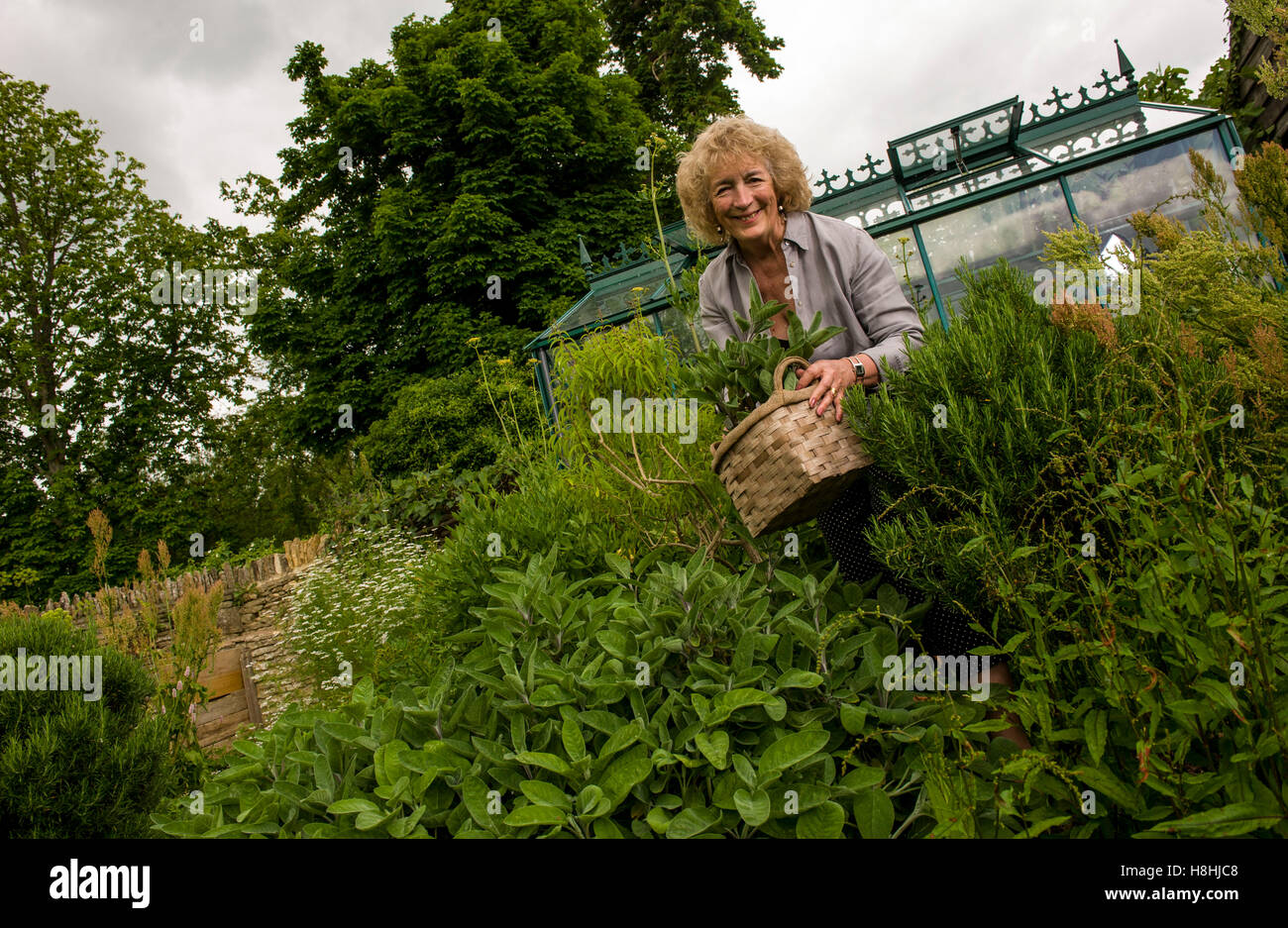 former TV presenter judith hann herb garden fyfield gloucestershire uk ...