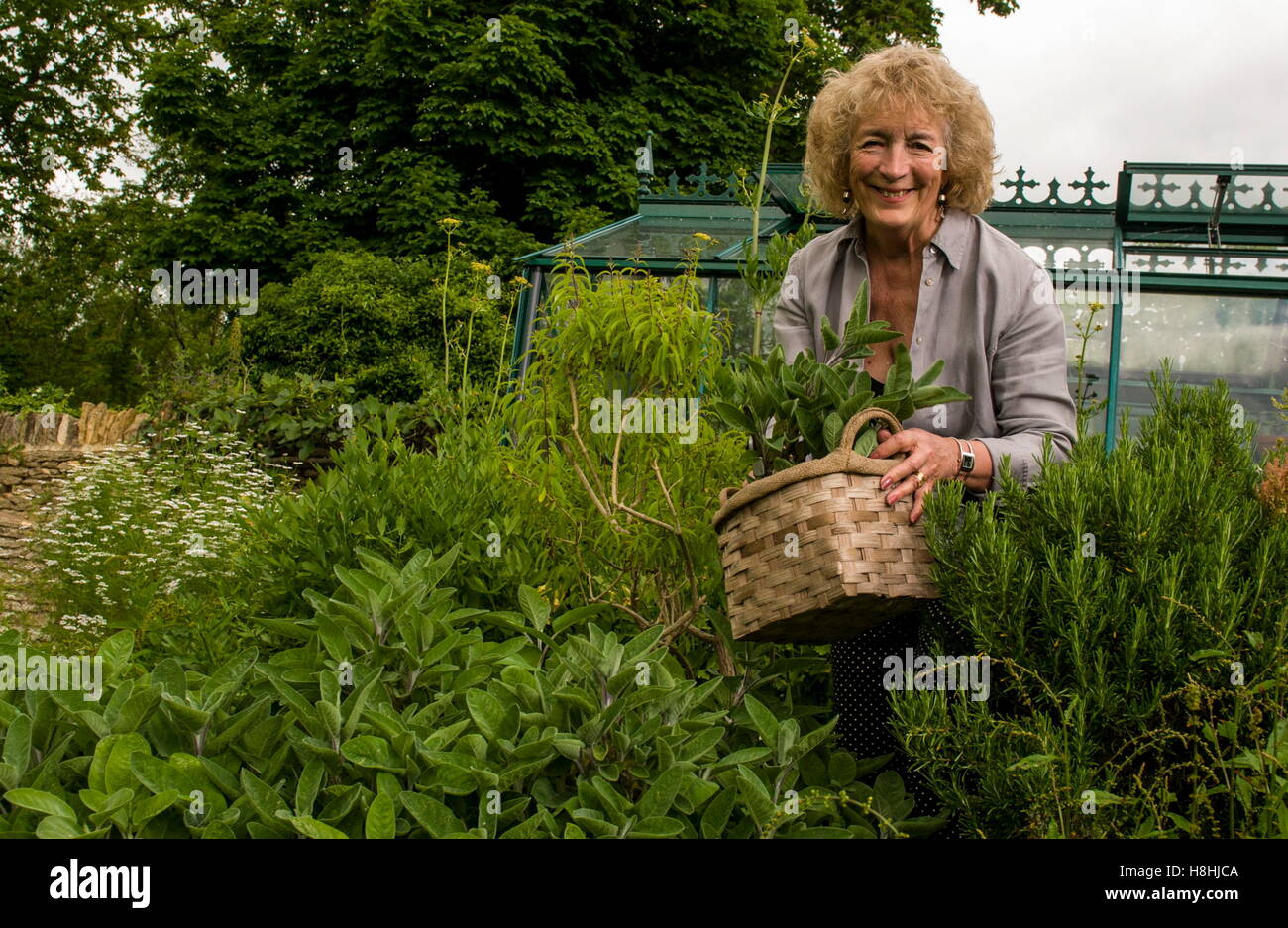 Judith hann and herbs hi-res stock photography and images - Alamy