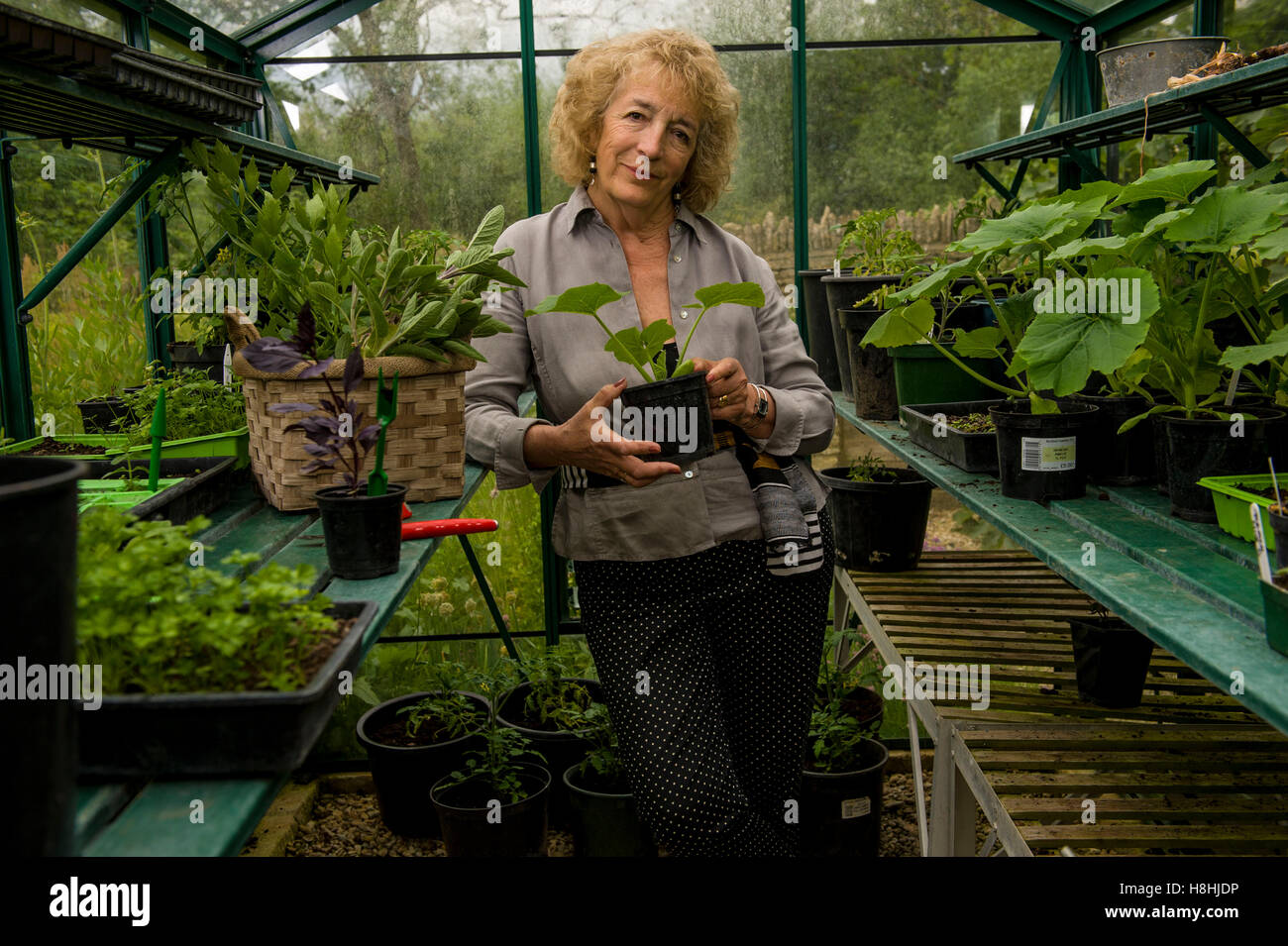 Judith hann hi-res stock photography and images - Alamy