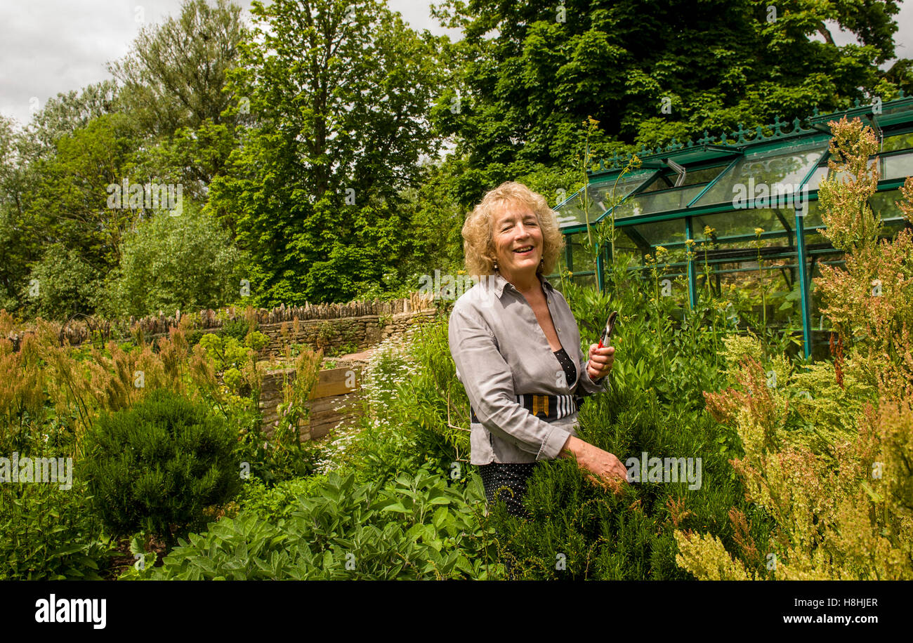 former TV presenter judith hann herb garden fyfield gloucestershire uk ...
