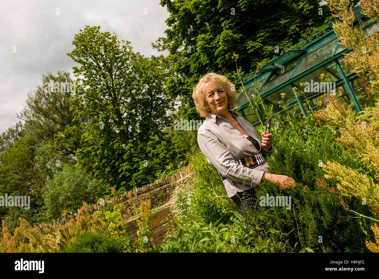 former TV presenter judith hann herb garden fyfield gloucestershire uk ...