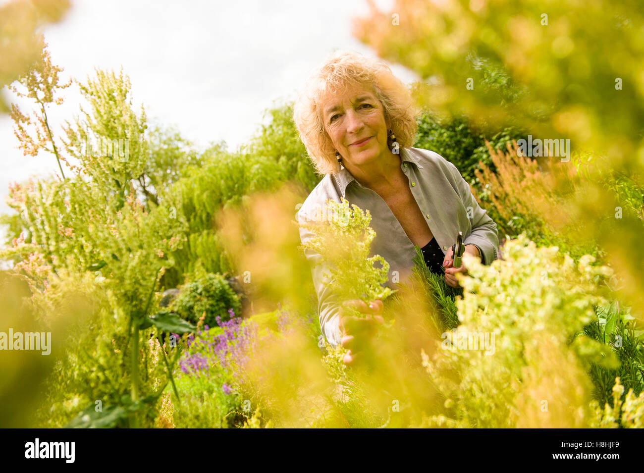 former TV presenter judith hann herb garden fyfield gloucestershire uk ...