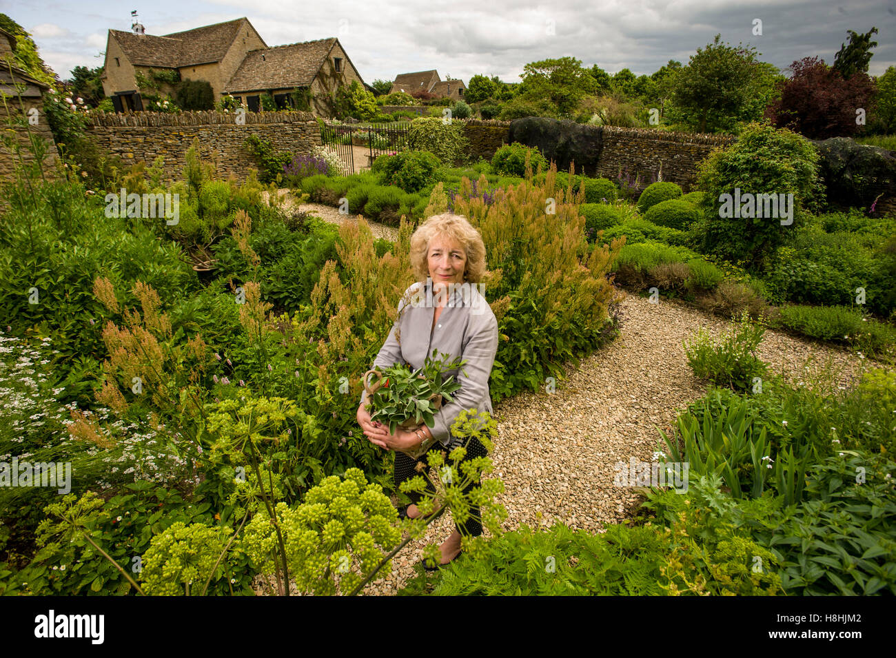 former TV presenter judith hann herb garden fyfield gloucestershire uk ...