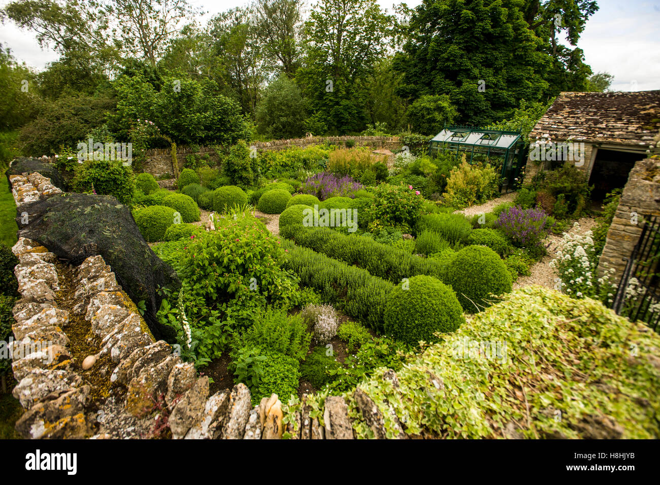 Former Tomorrow's World TV presenter Judith Hann pictured at her home ...