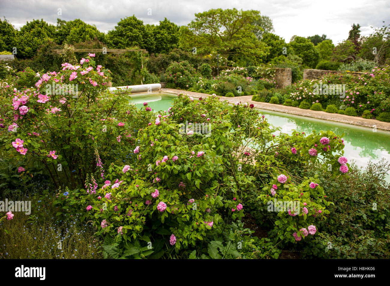 Former Tomorrow's World TV presenter Judith Hann pictured at her home ...