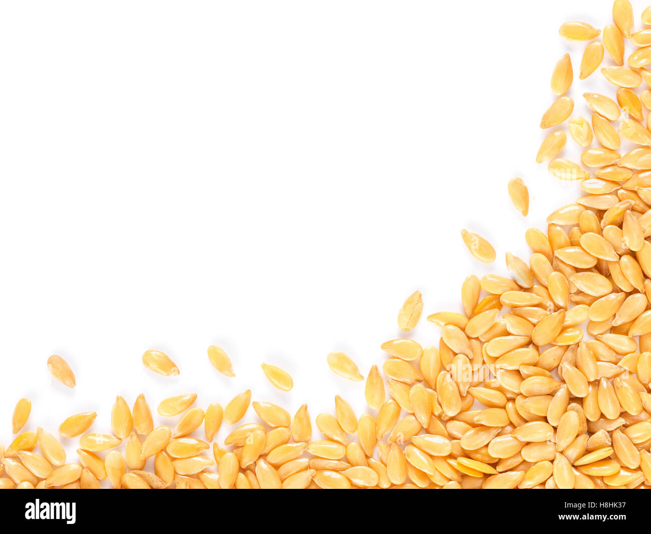 Golden flax hi-res stock photography and images - Alamy